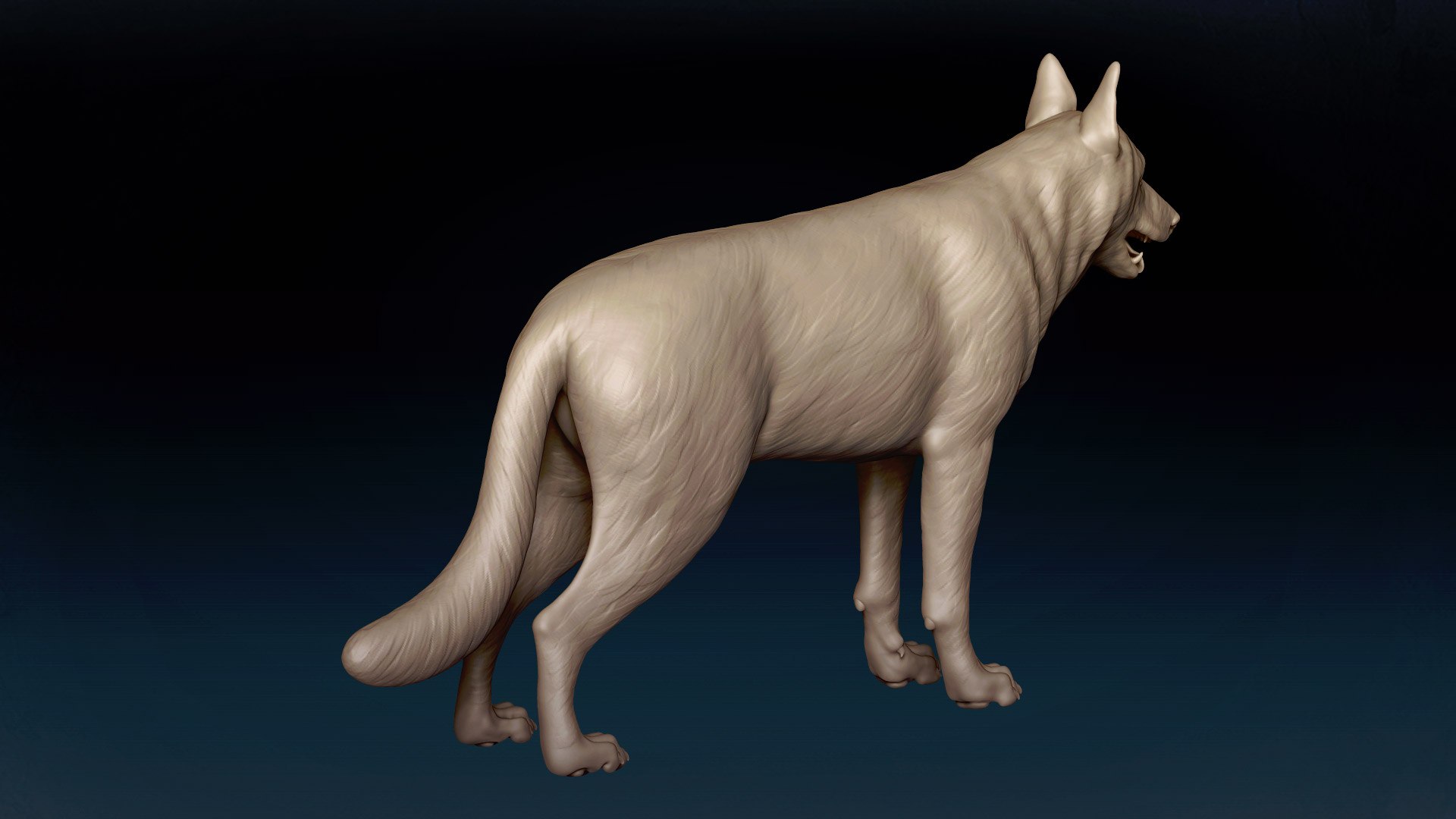 3D German Shepherd Base Mesh 3D Model Model - TurboSquid 1863570