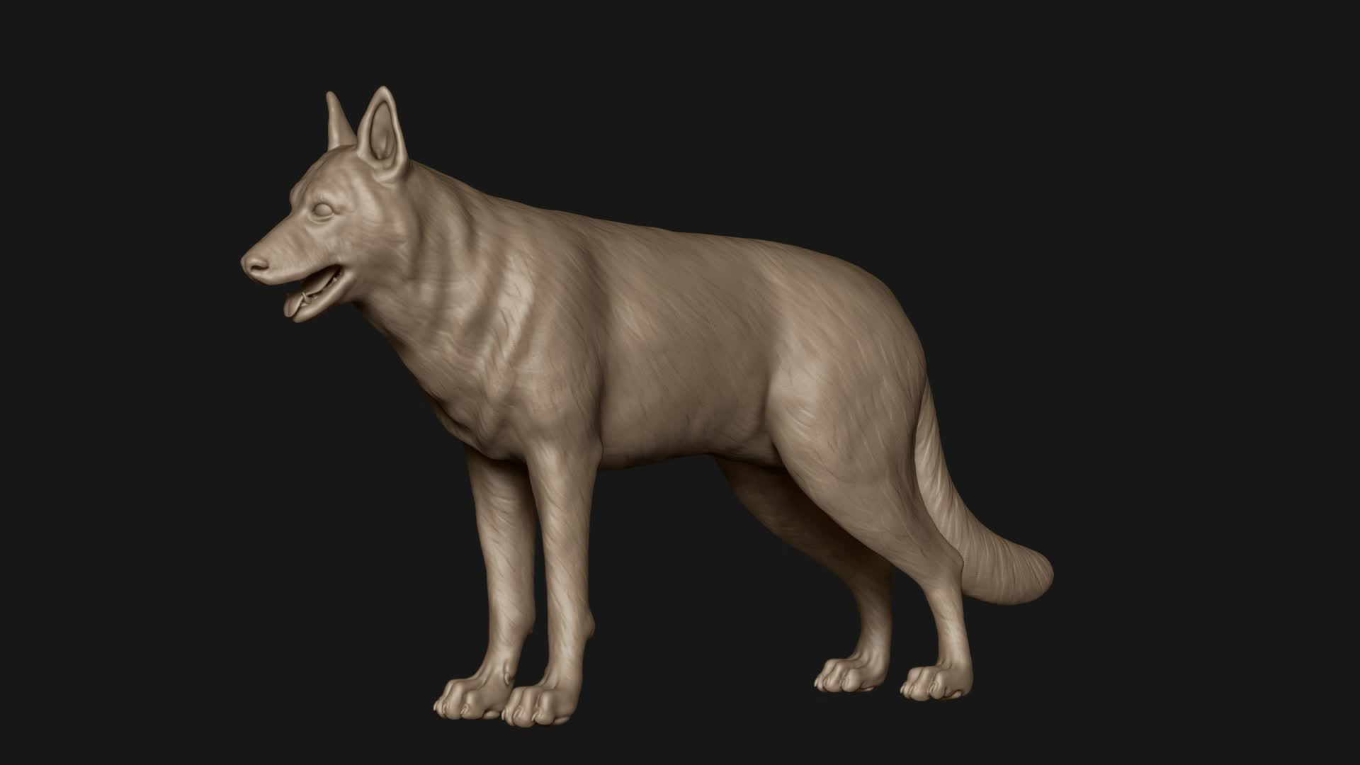3D German Shepherd Base Mesh 3D Model Model - TurboSquid 1863570