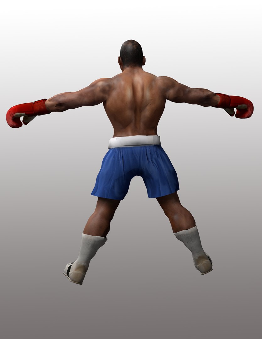 Boxer 3d Fbx