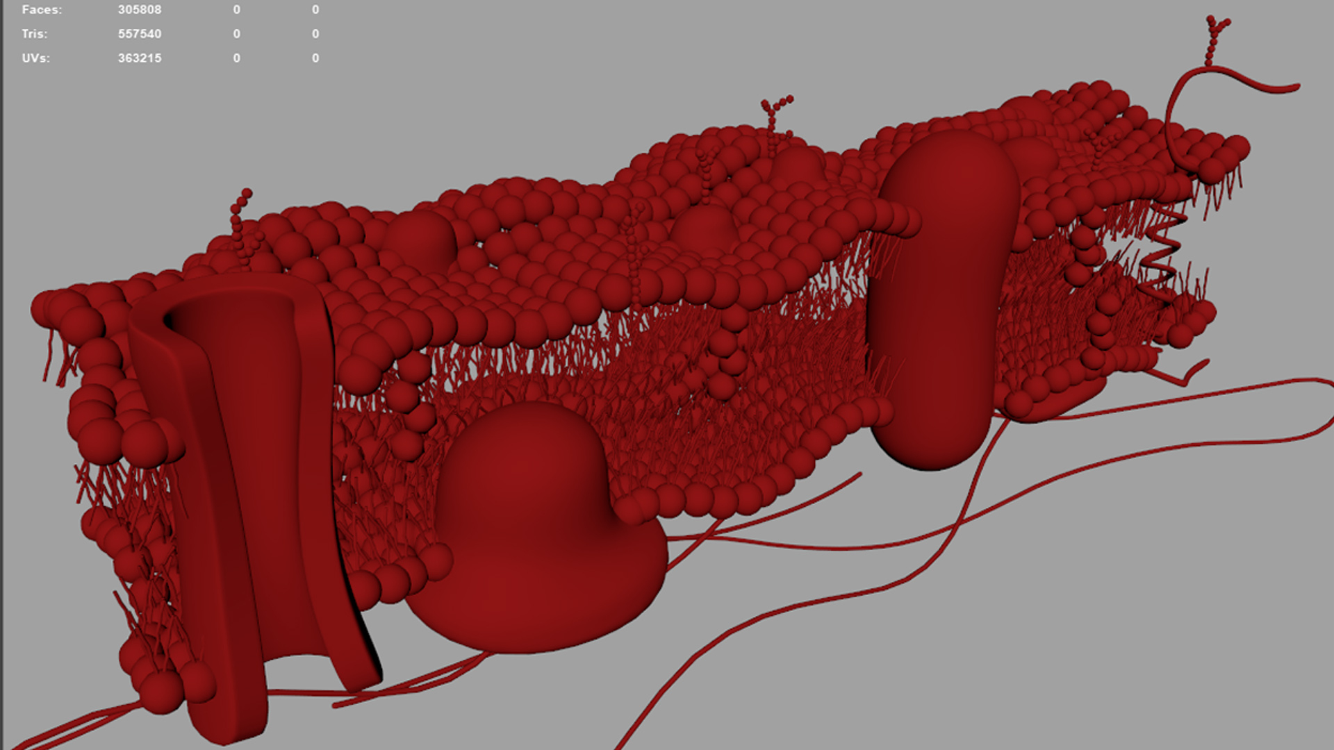 Cytoplasm Animated 3D model - TurboSquid 1715762