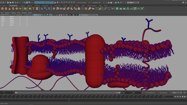Cytoplasm Animated 3D model - TurboSquid 1715762