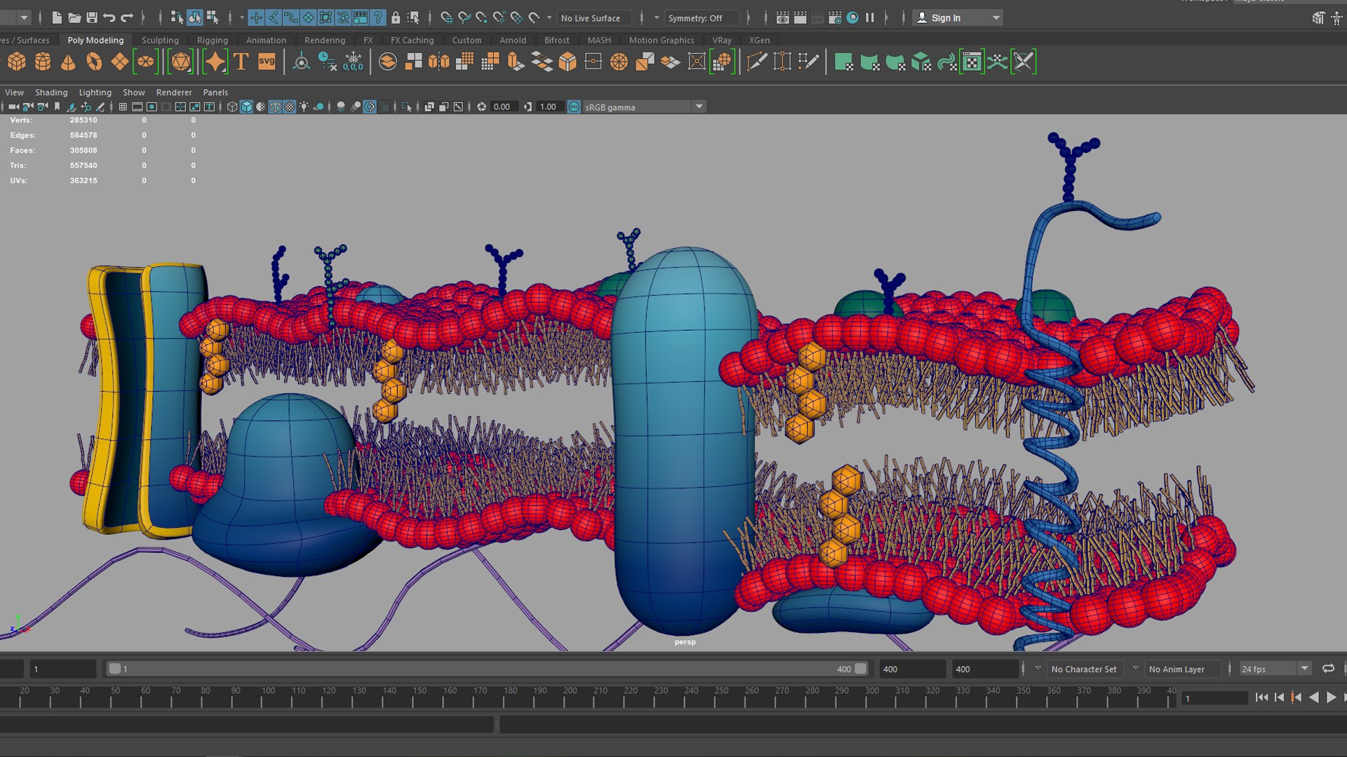 Cytoplasm Animated 3D Model - TurboSquid 1715762