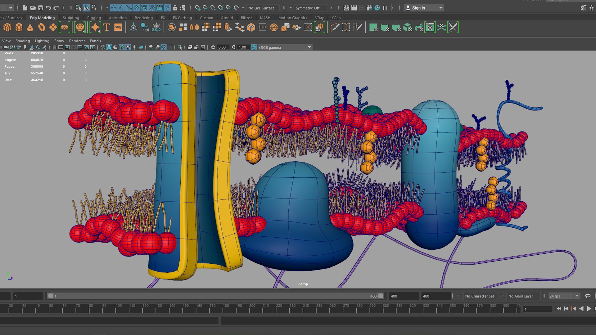 Cytoplasm Animated 3D Model - TurboSquid 1715762