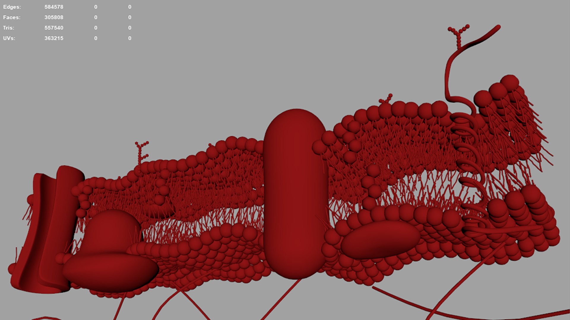 Cytoplasm Animated 3D Model - TurboSquid 1715762
