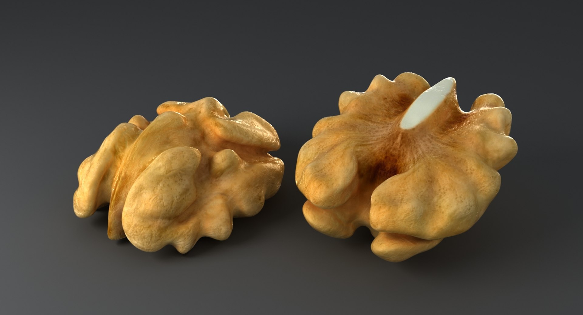 Walnut Nut 3D - TurboSquid 1217568