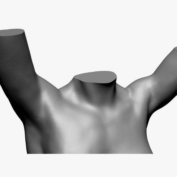Free 3D Female-Torso Models | TurboSquid