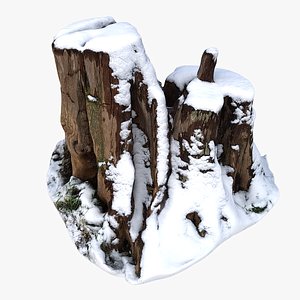 Scan Tree Stump Snow 3D Model - TurboSquid 1251836
