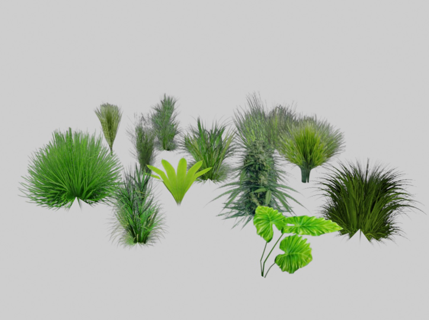 3D 12 Different Small Plant Model - TurboSquid 1662131