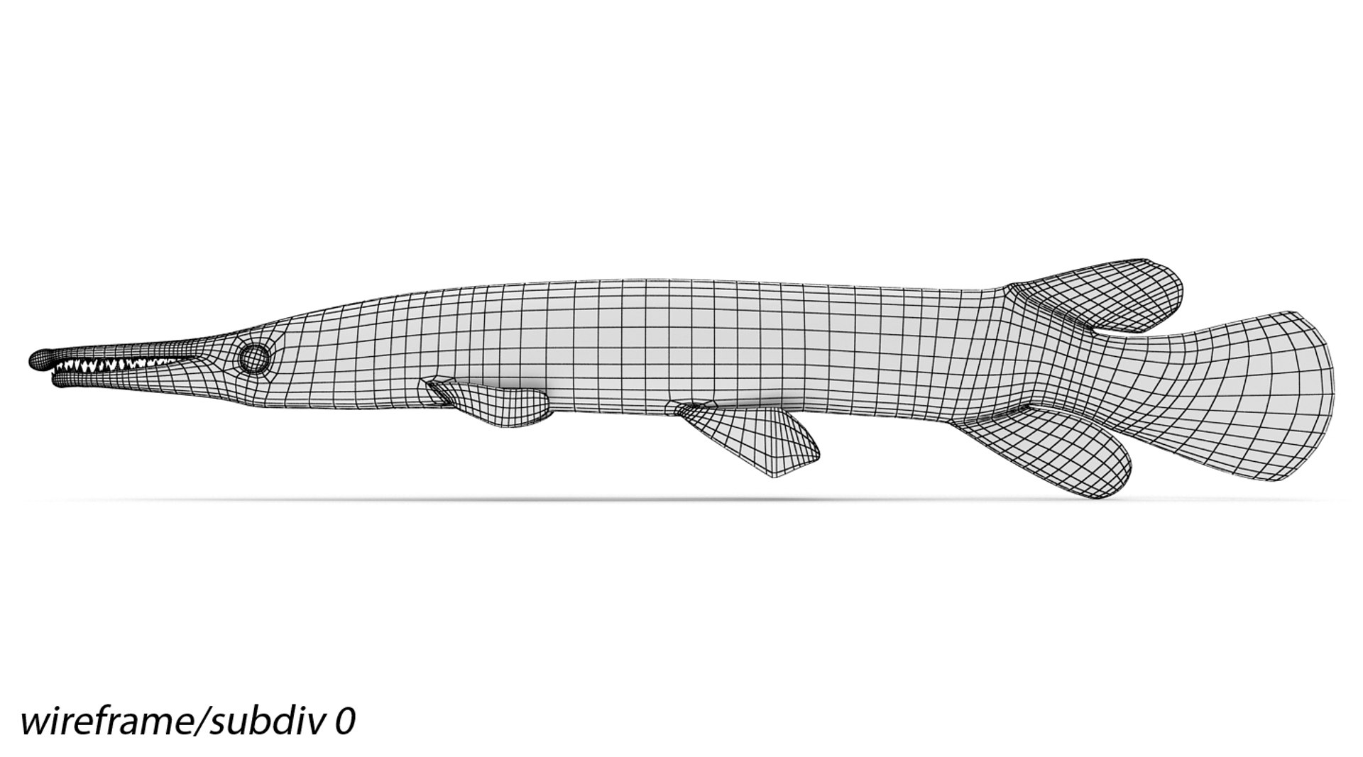 3d Aligator Gar