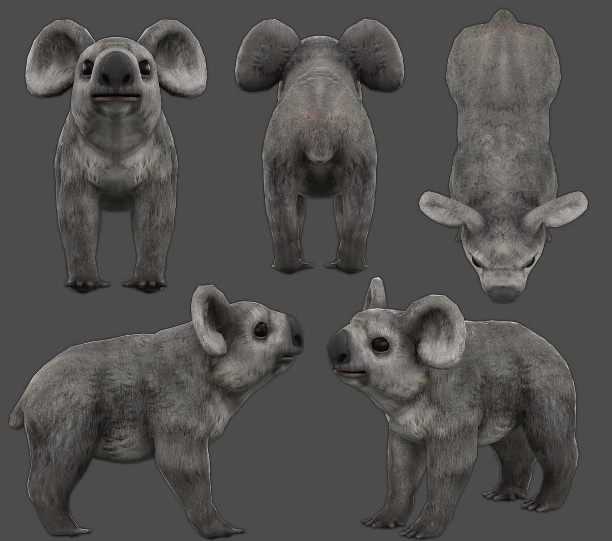 3D Koala Low-poly Model - TurboSquid 1469333