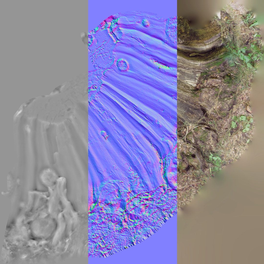 tree stump 1 3d model