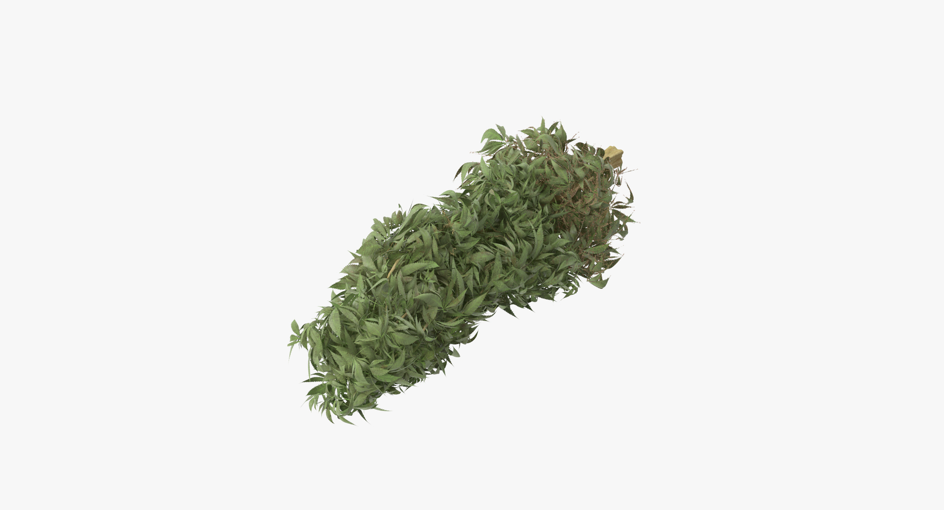 3d marijuana bud 01 02