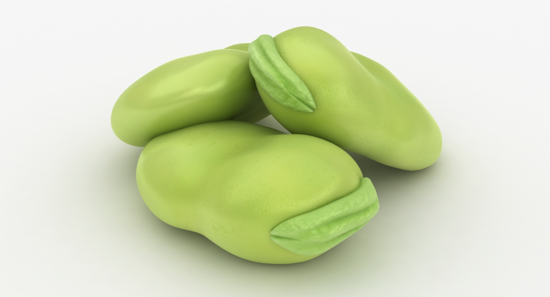 Realistic Broad Bean 3D Model - TurboSquid 1325453