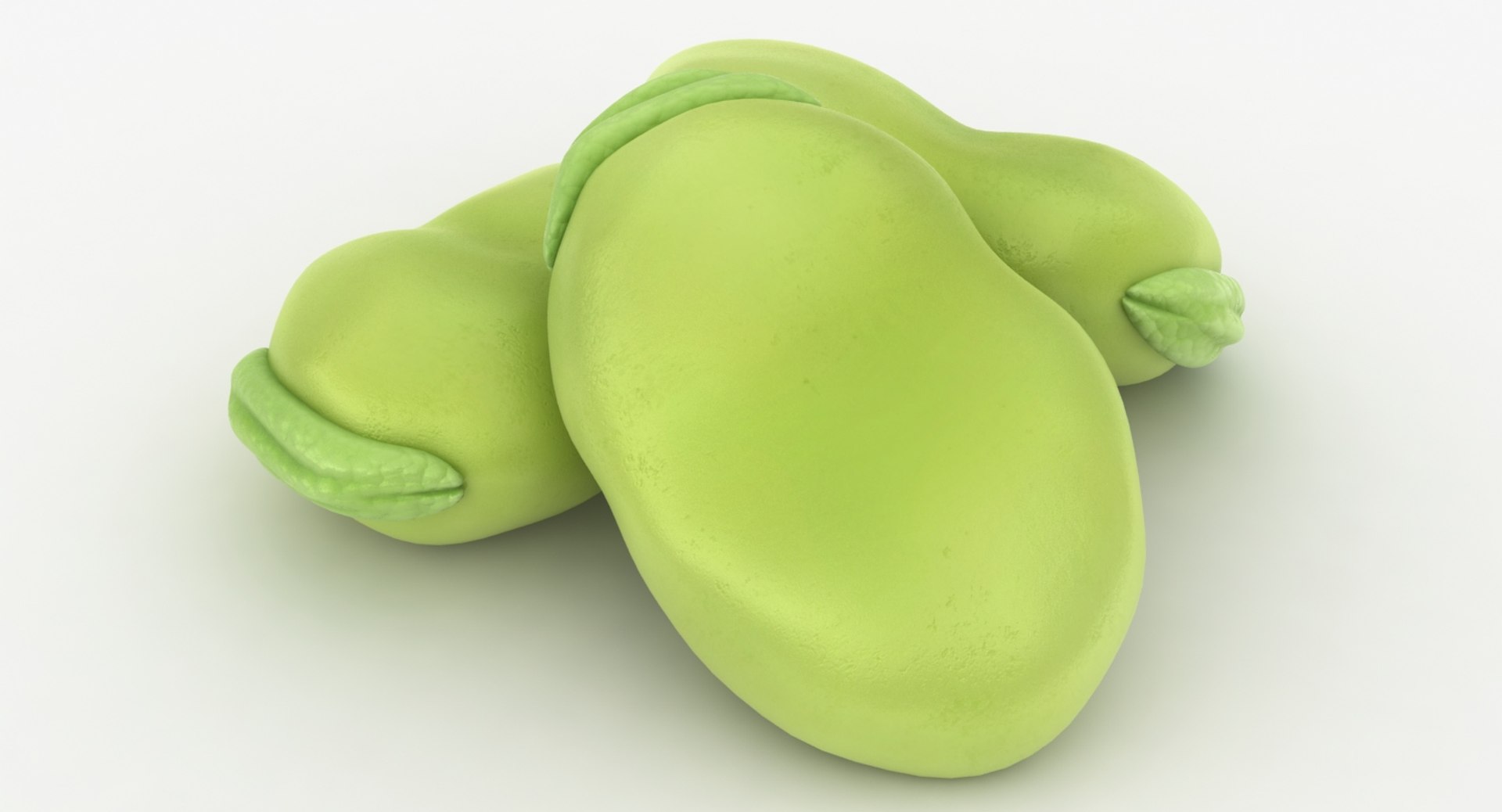 Realistic Broad Bean 3D Model - TurboSquid 1325453