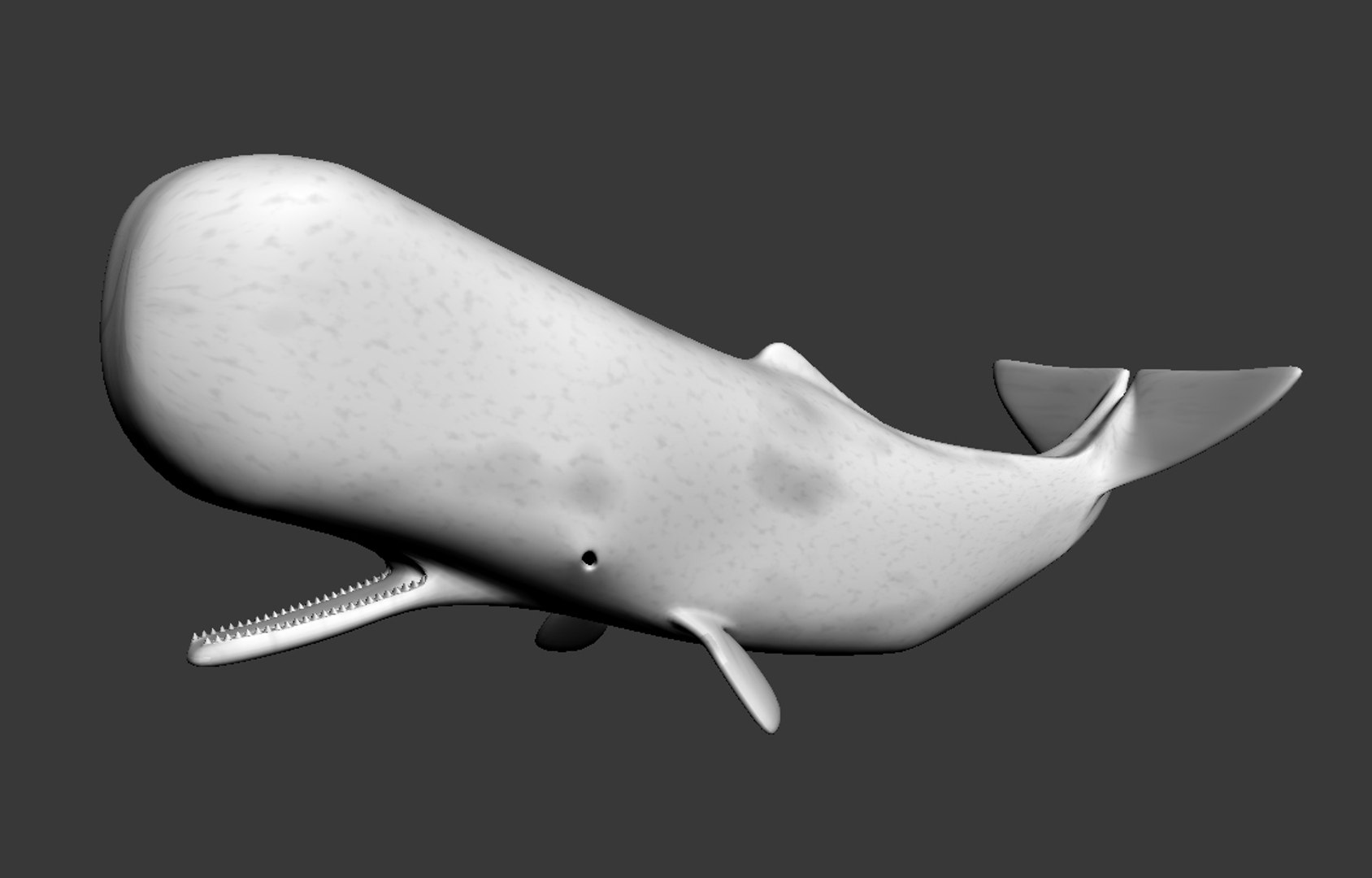 rig sperm whale max free