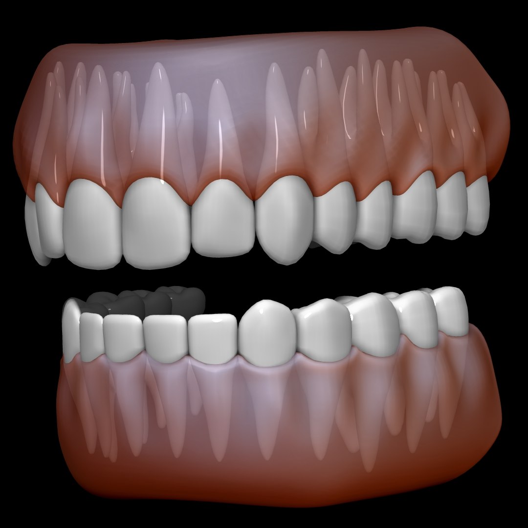 teeth 3d c4d