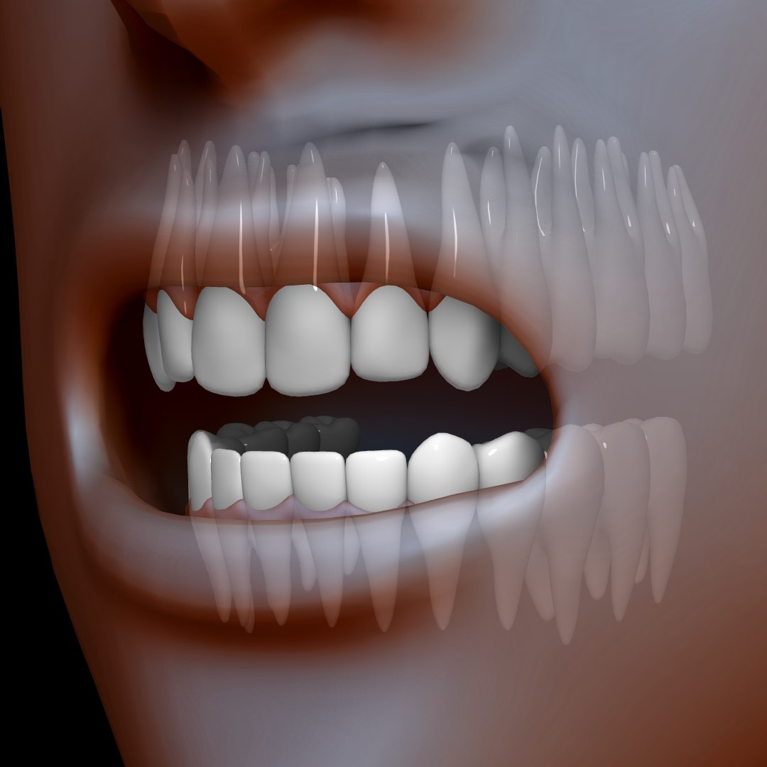teeth 3d c4d