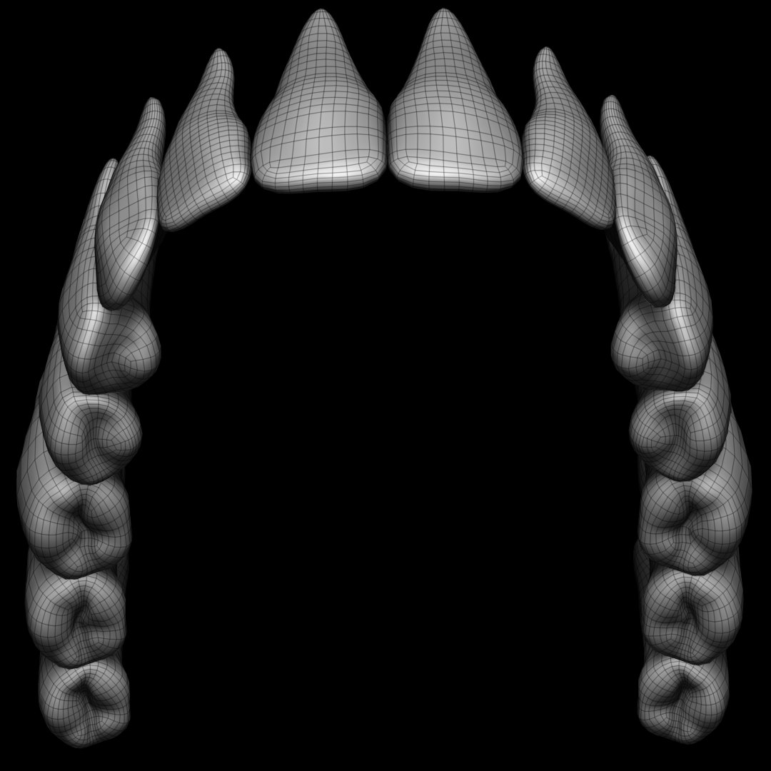 teeth 3d c4d