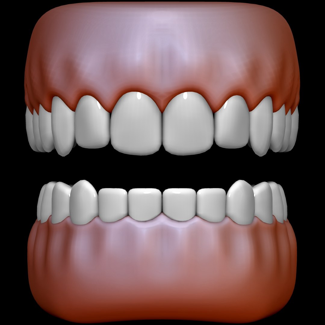 teeth 3d c4d