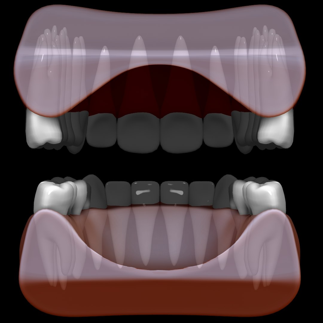 teeth 3d c4d