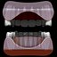 teeth 3d c4d