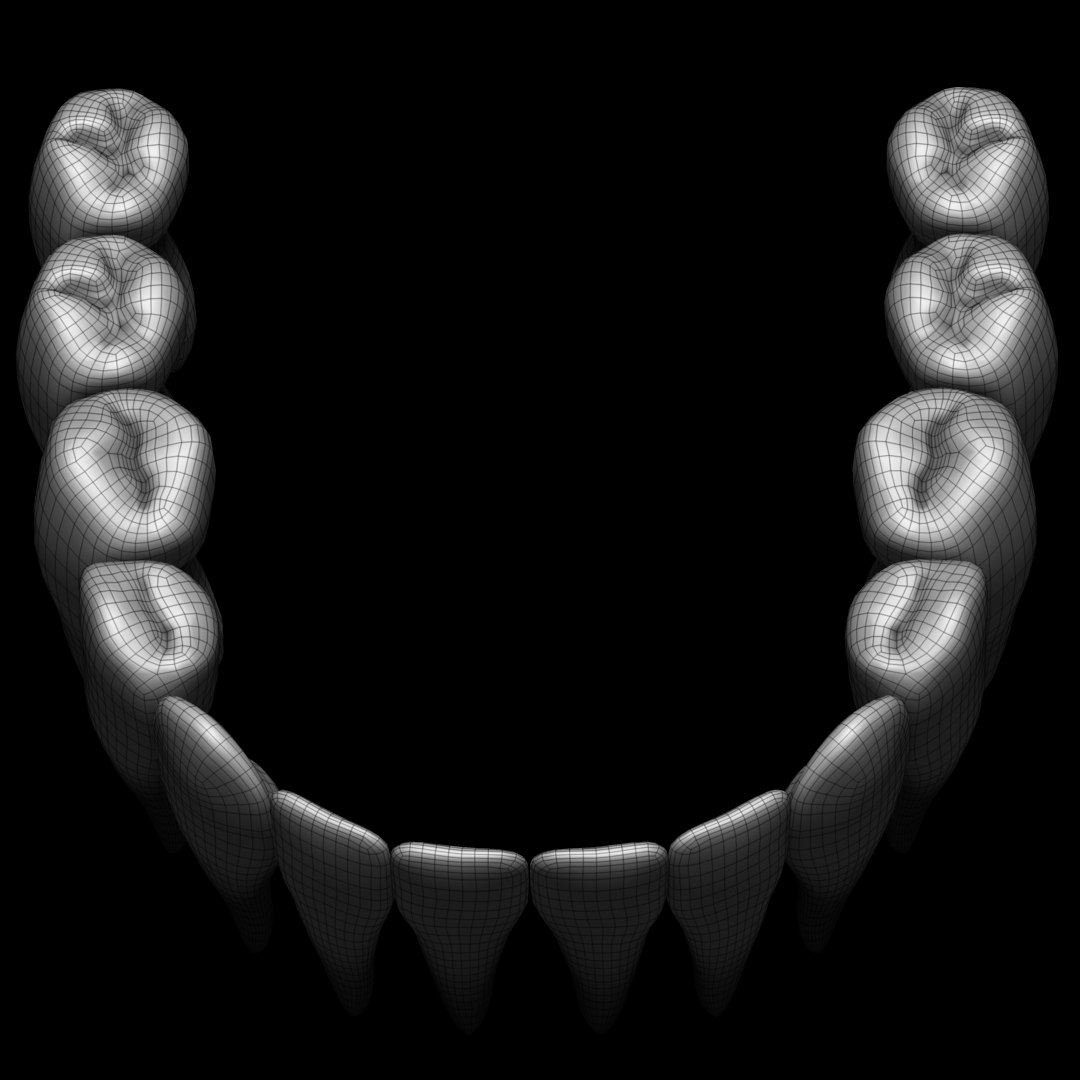 teeth 3d c4d