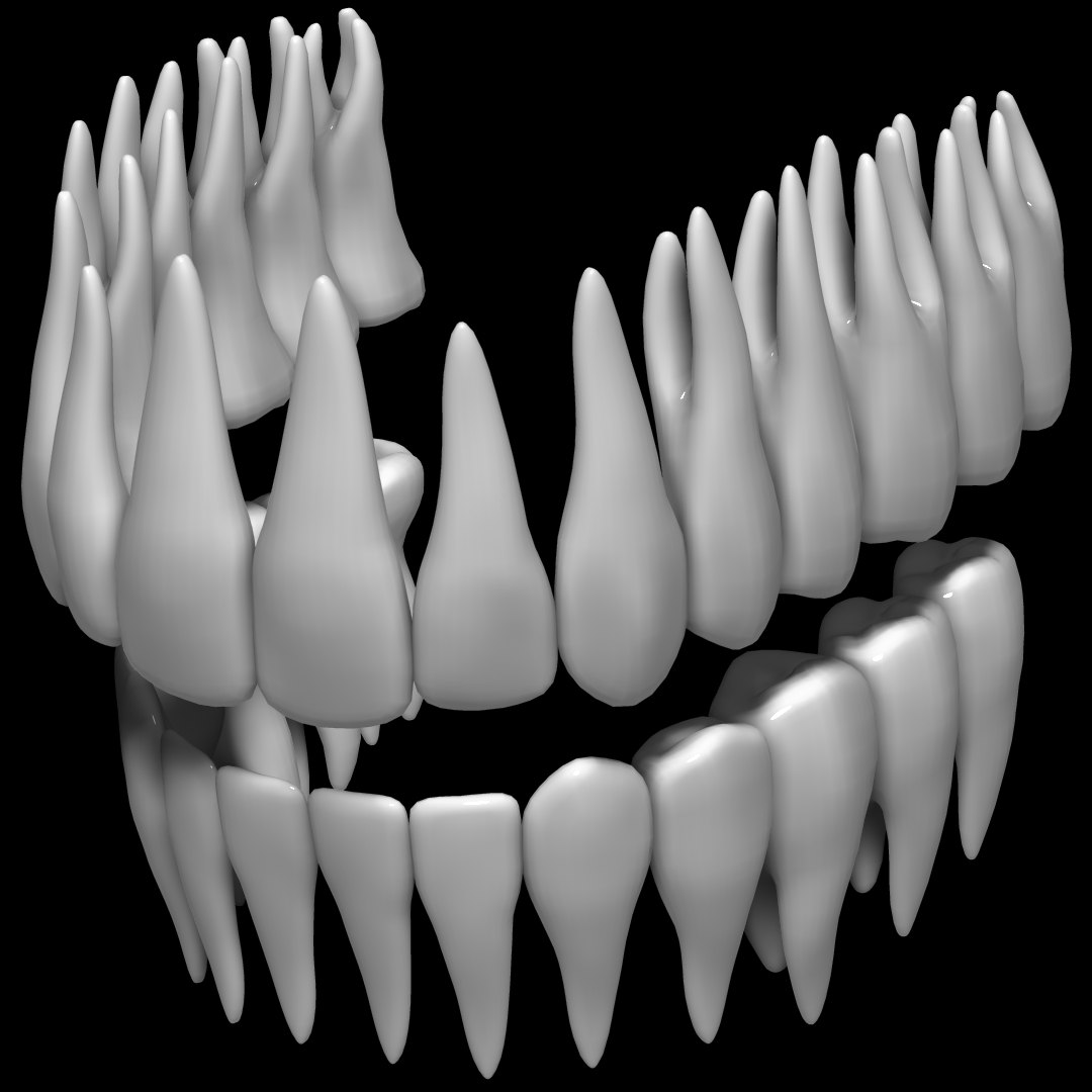 teeth 3d c4d