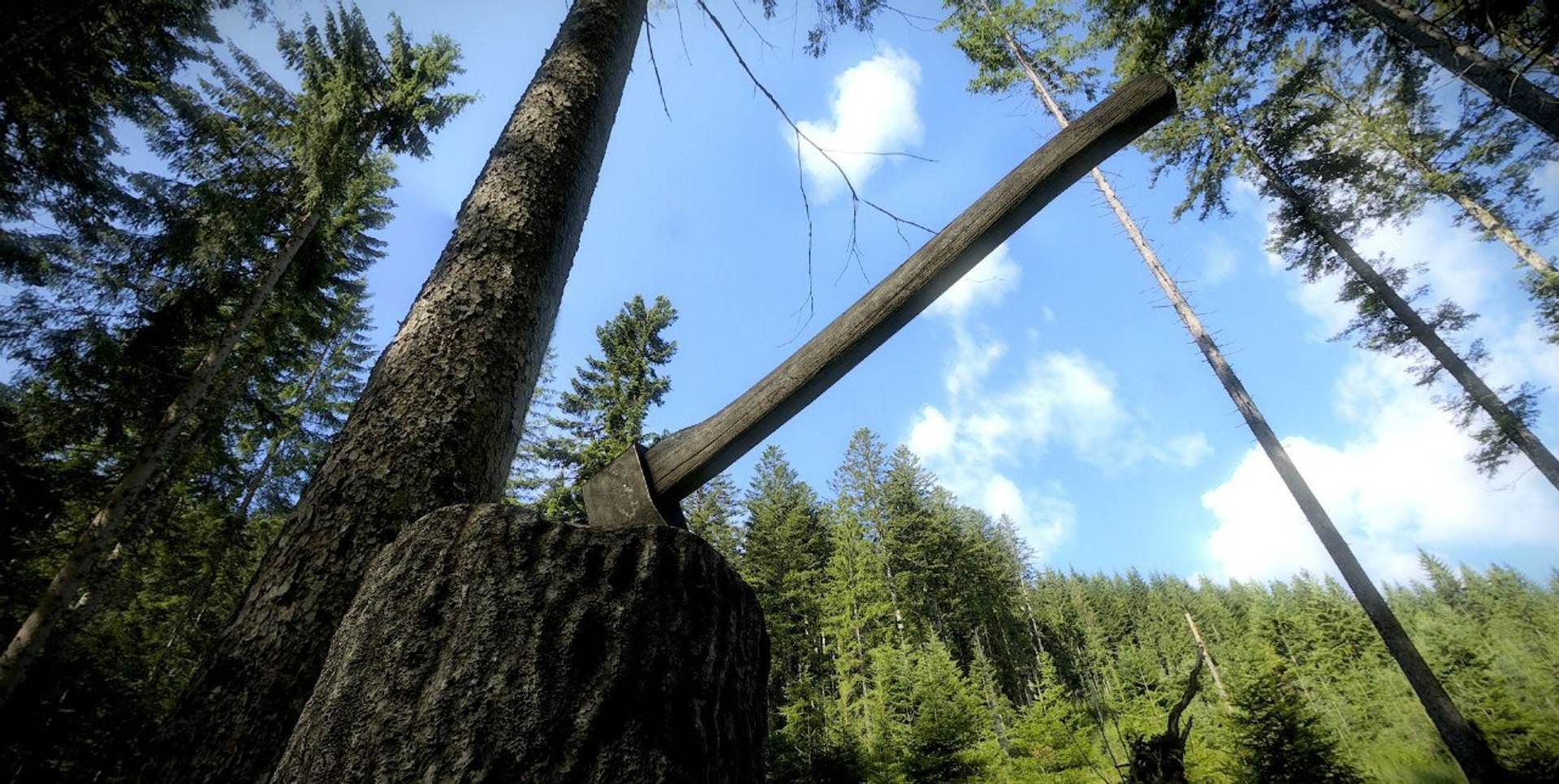 Max Axe Hatchet Chop