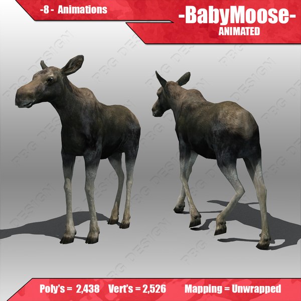 3D Moose Models | TurboSquid