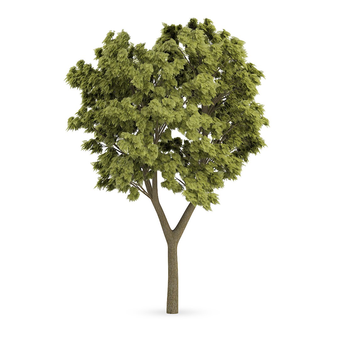 3ds Max Trees Volume 62 Vi