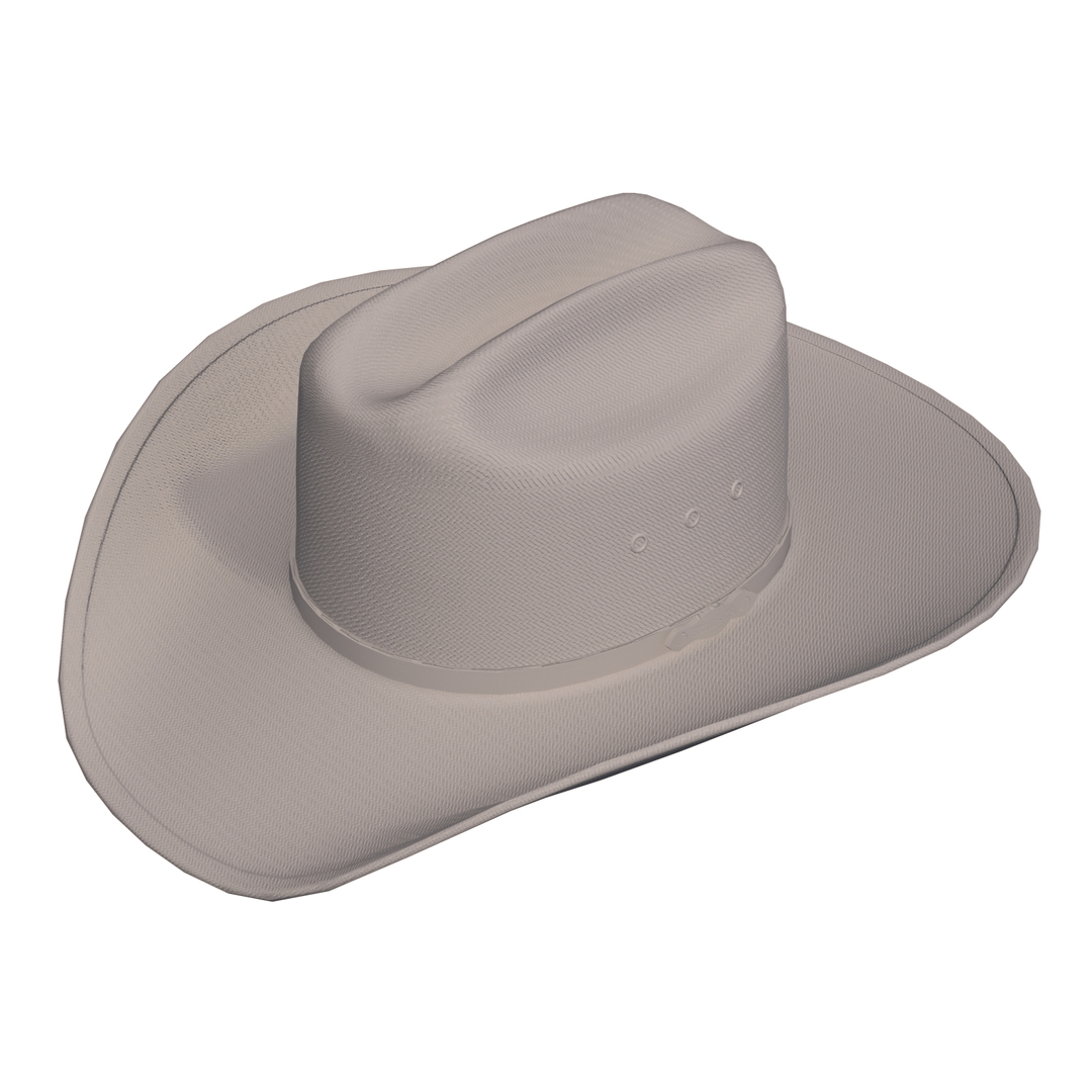 Stetson Cowboy Western hat 3D model - TurboSquid 1946361
