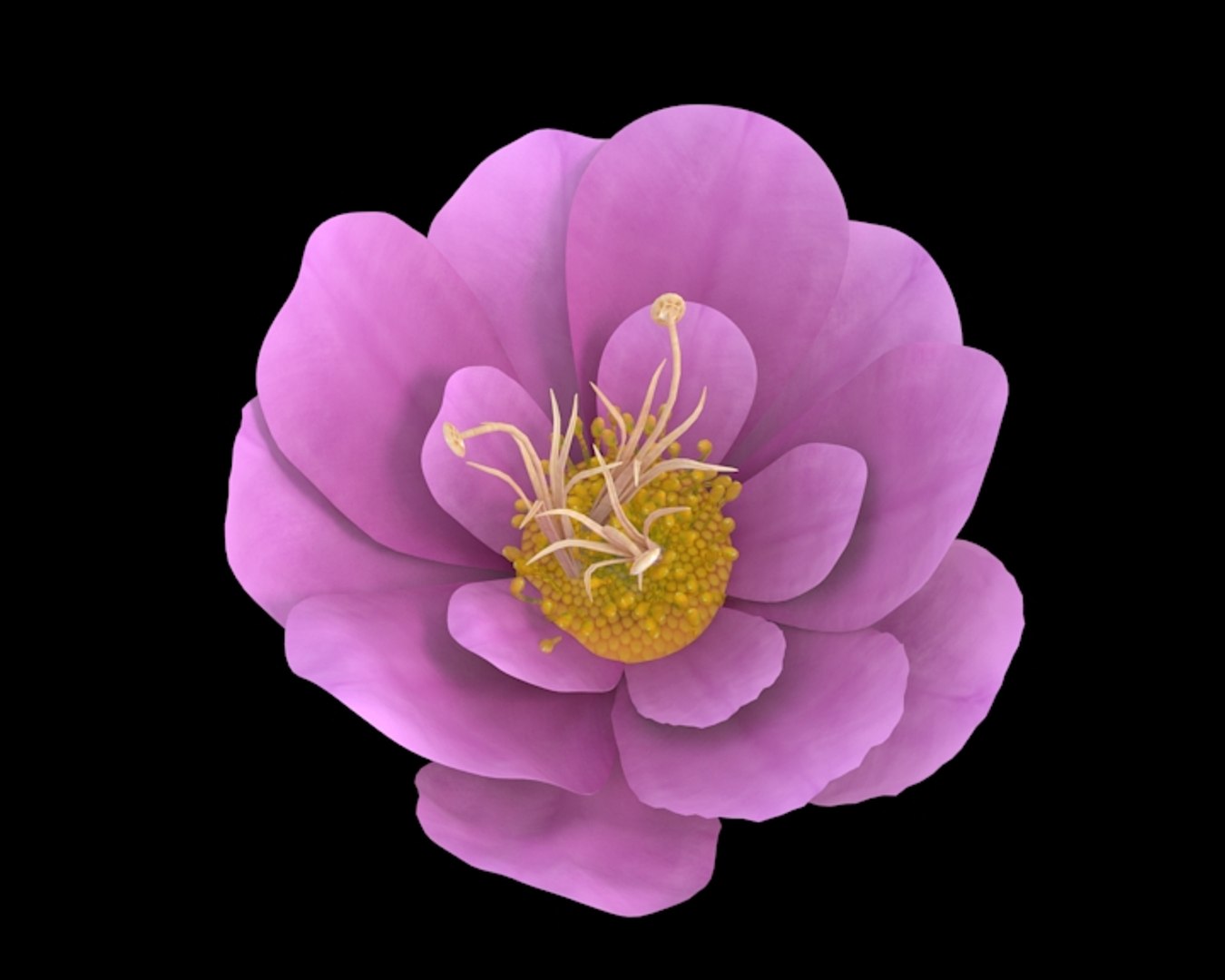 Flower model - TurboSquid 1473394