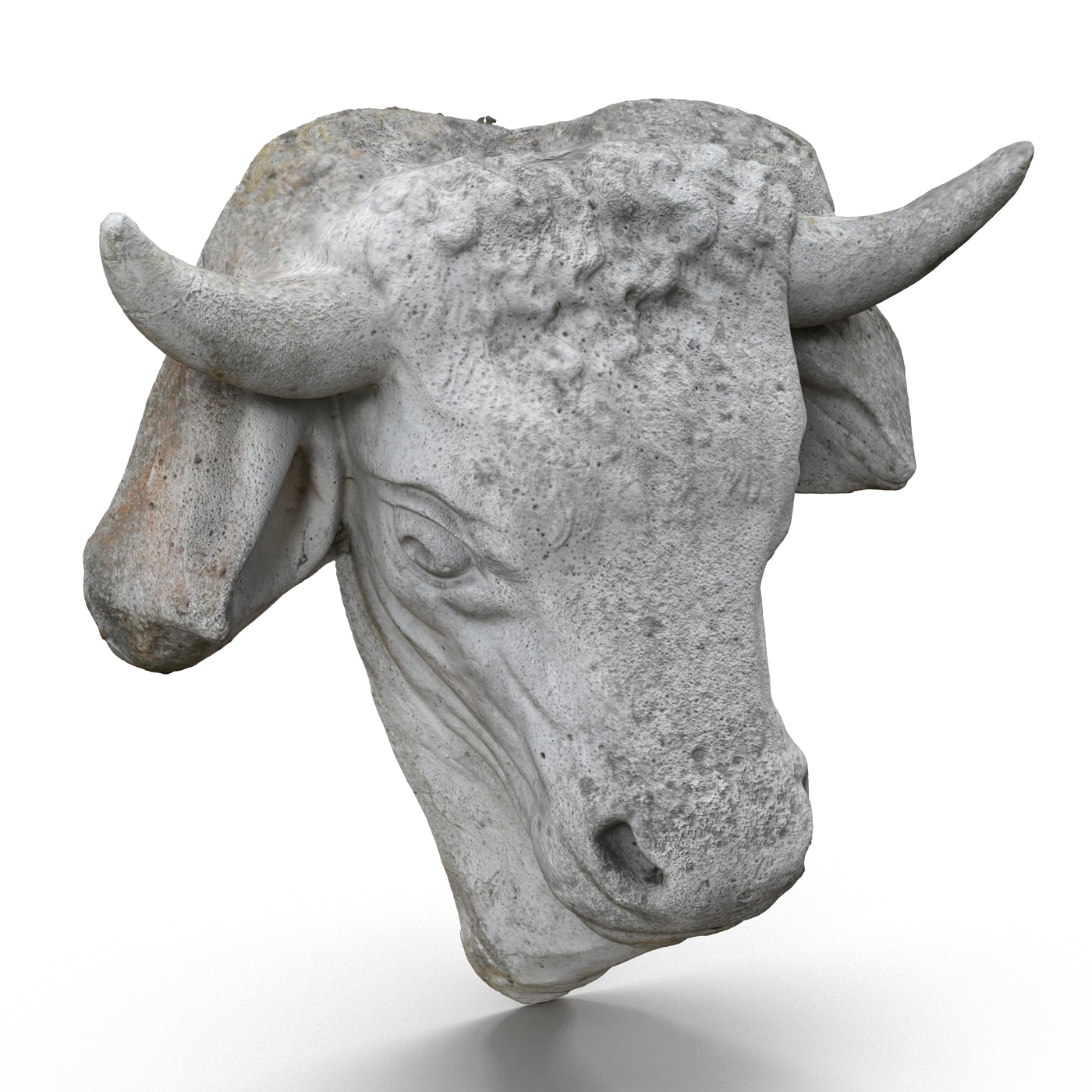 bull head stone max