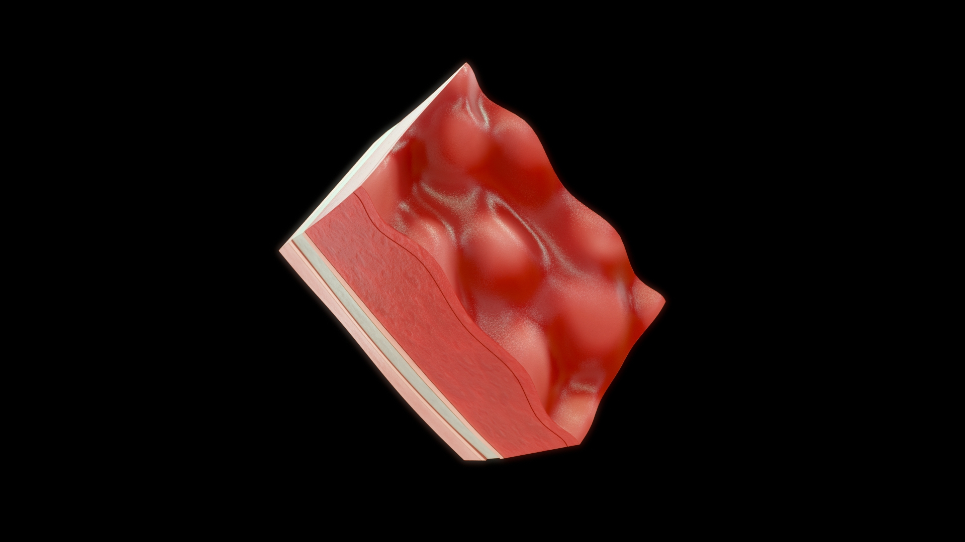 Human Heart Wall Layers 3D - TurboSquid 2186699