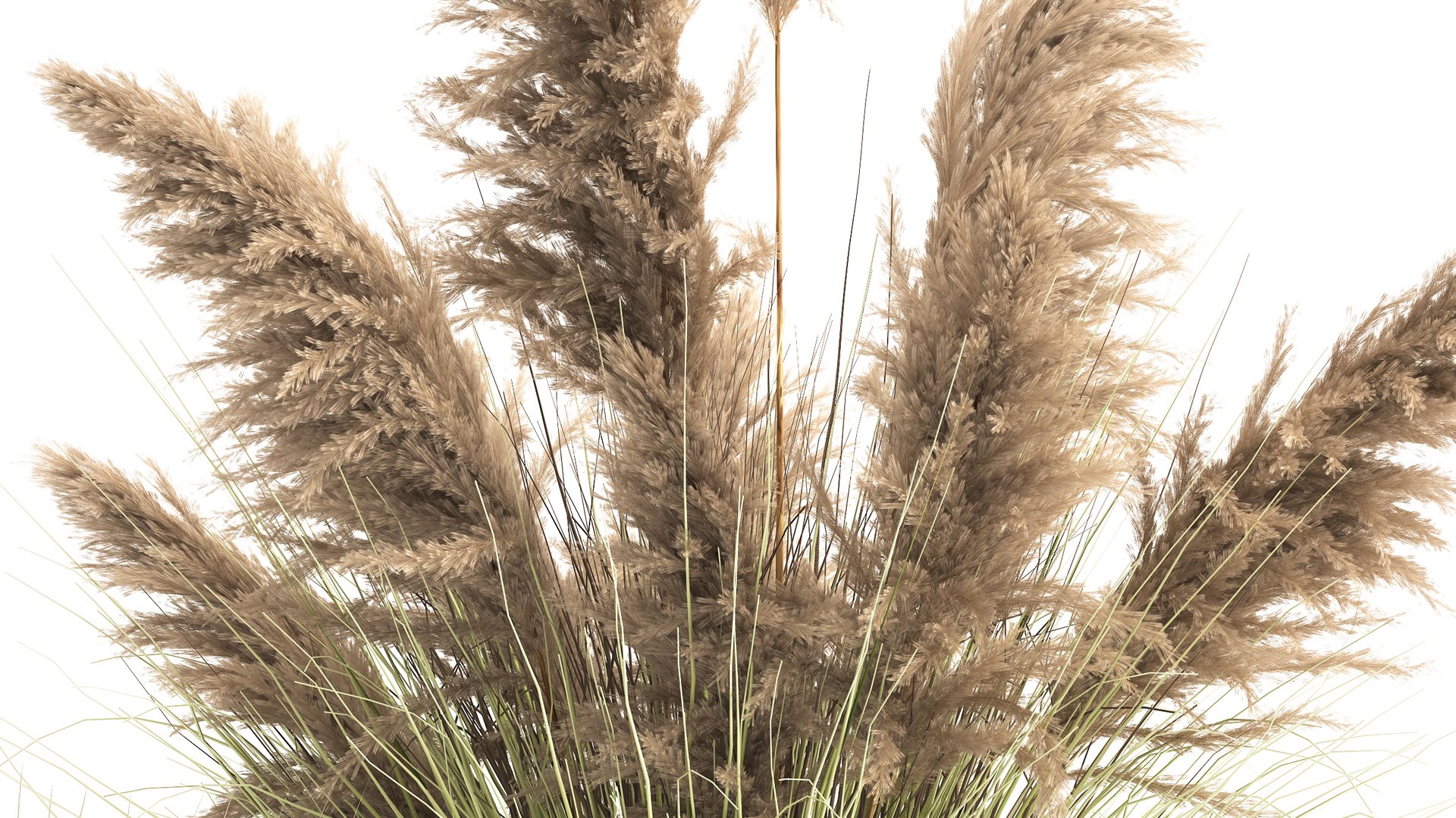 3D Reeds in a rusty flower pot for the interior 948 - TurboSquid 1725910