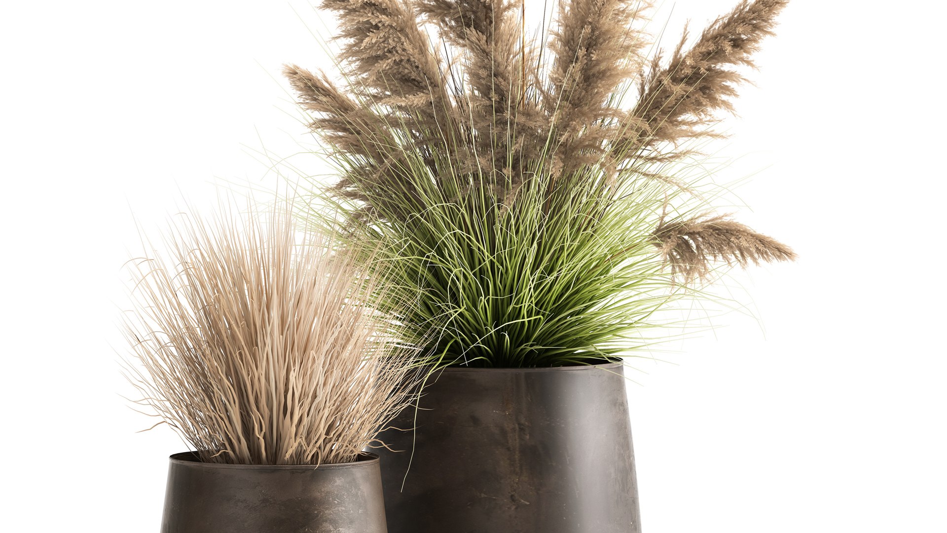 3D Reeds in a rusty flower pot for the interior 948 - TurboSquid 1725910