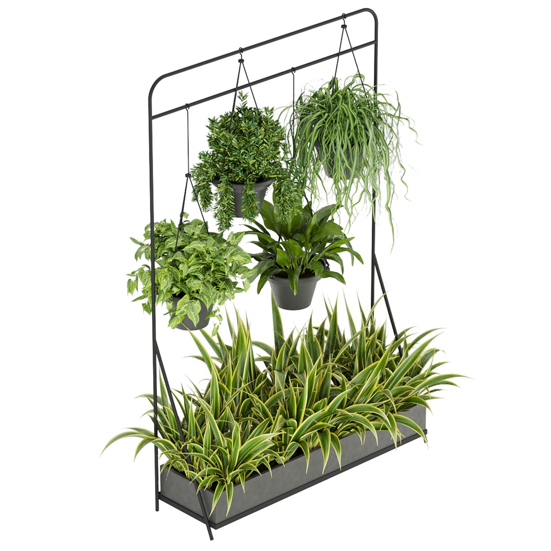 3D Collection Plant Vol 257 - Indoor - Ampelous - 3dmax - Fbx - Obj - TurboSquid 1892181