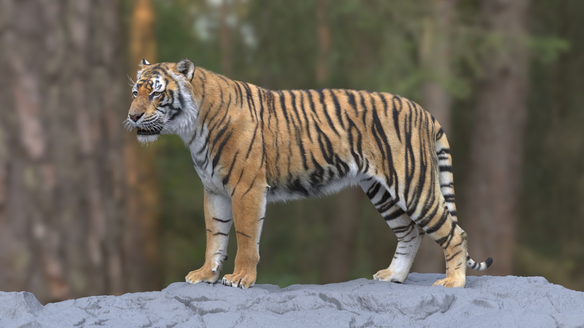 Tiger ANIMATED 3D - TurboSquid 2008406