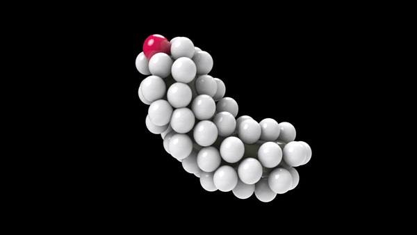 modelo 3d lípido esteroide - TurboSquid 2207501