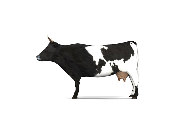 3d cow model