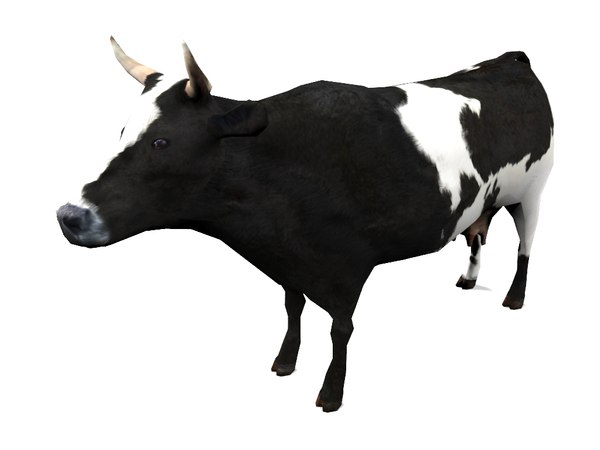 3d cow model