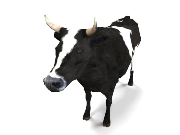 3d cow model