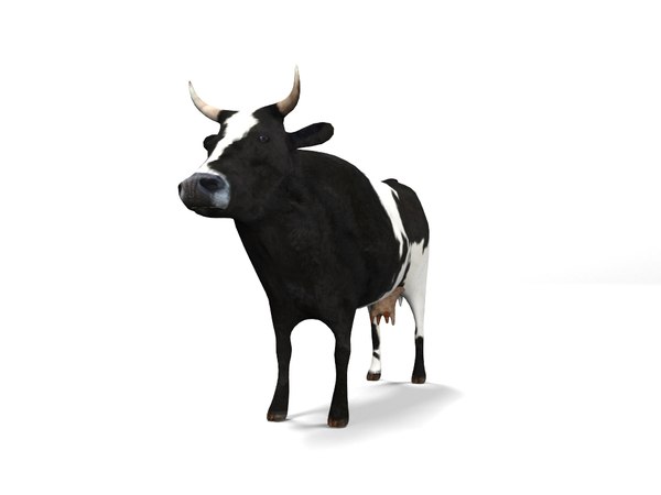 3d cow model