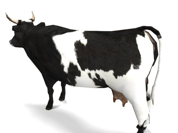 3d cow model