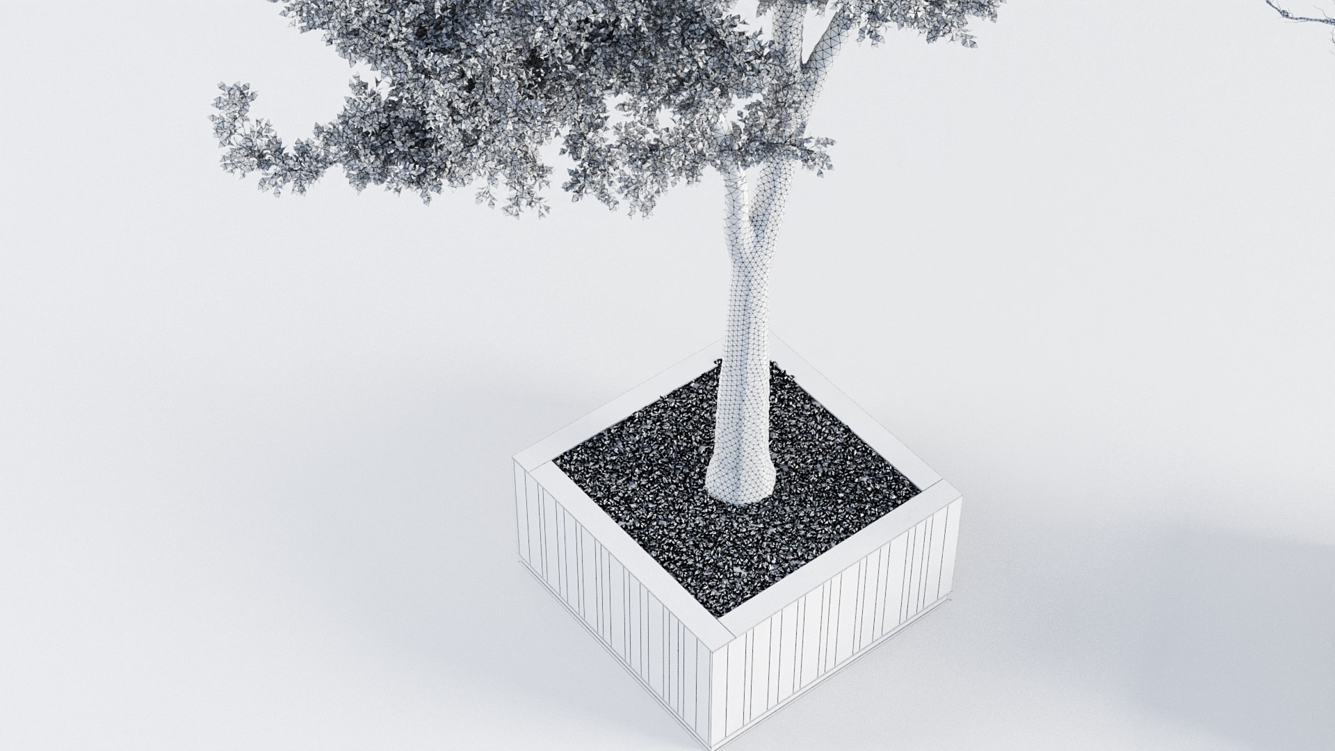 3D Tree Outdoor Plants - TurboSquid 1637136