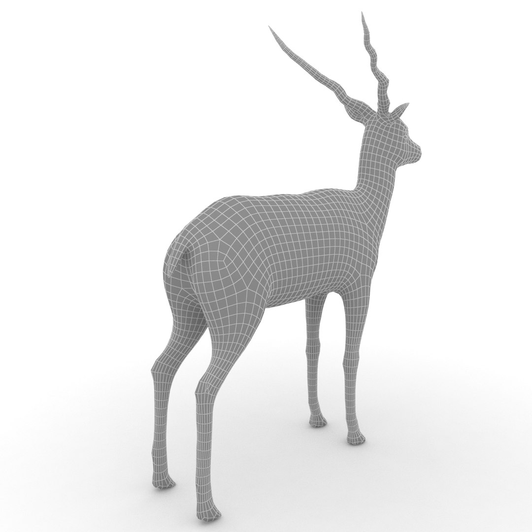 Black Buck Blackbuck 3d Model
