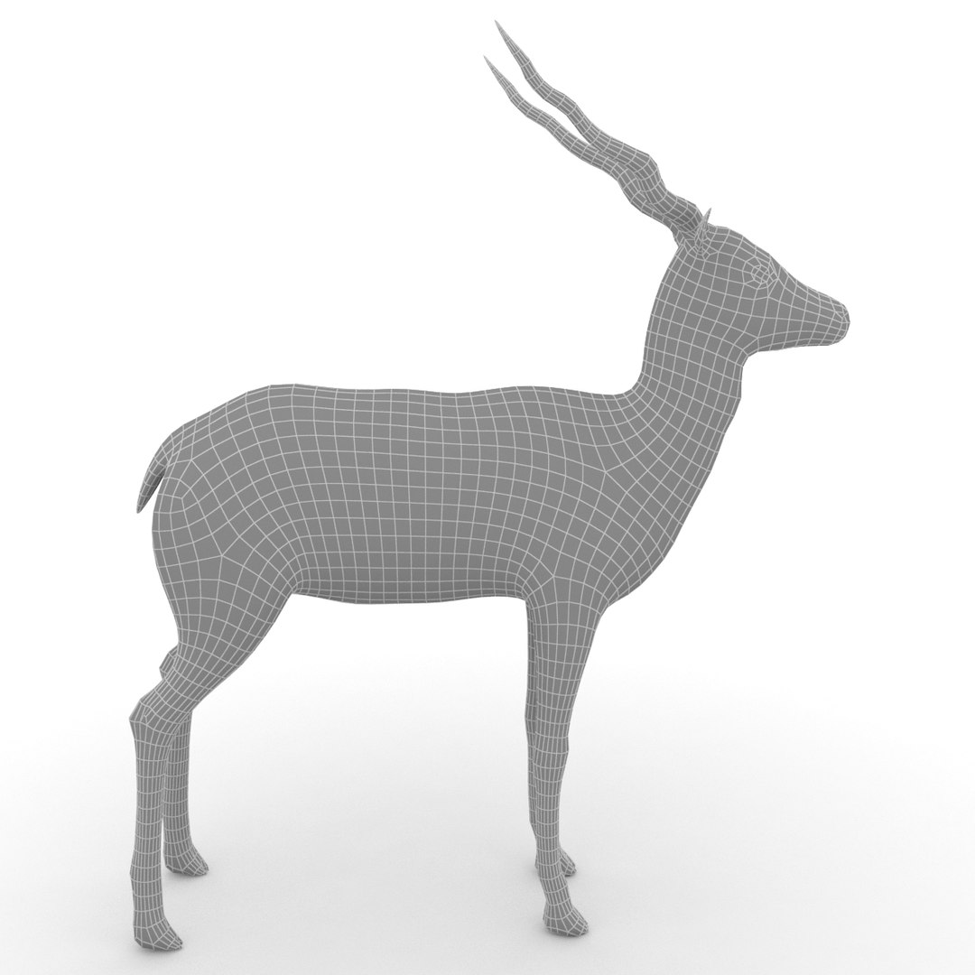Black Buck Blackbuck 3d Model