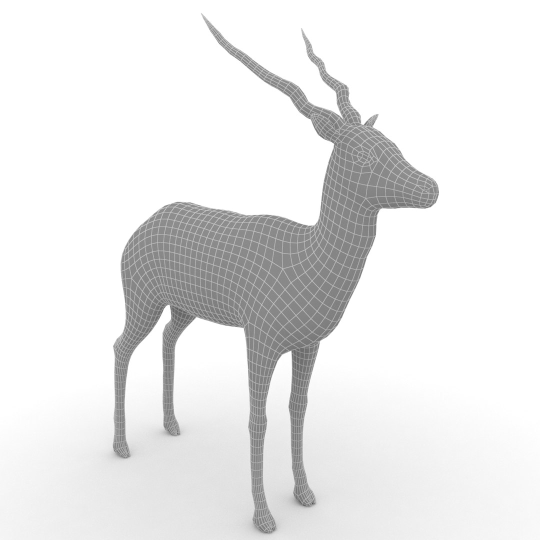 Black Buck Blackbuck 3d Model