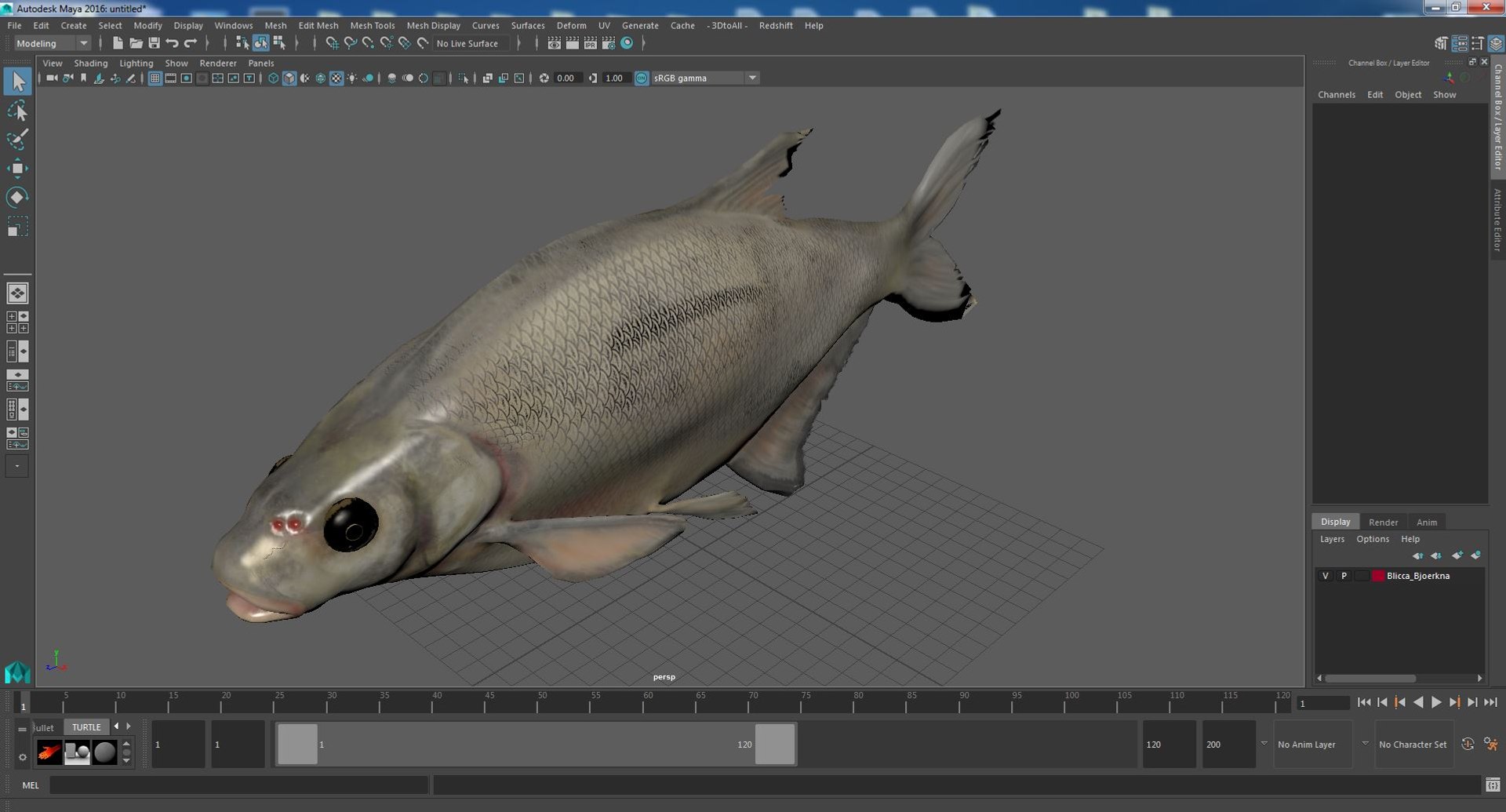 3D Blicca Bjoerkna - TurboSquid 2158920