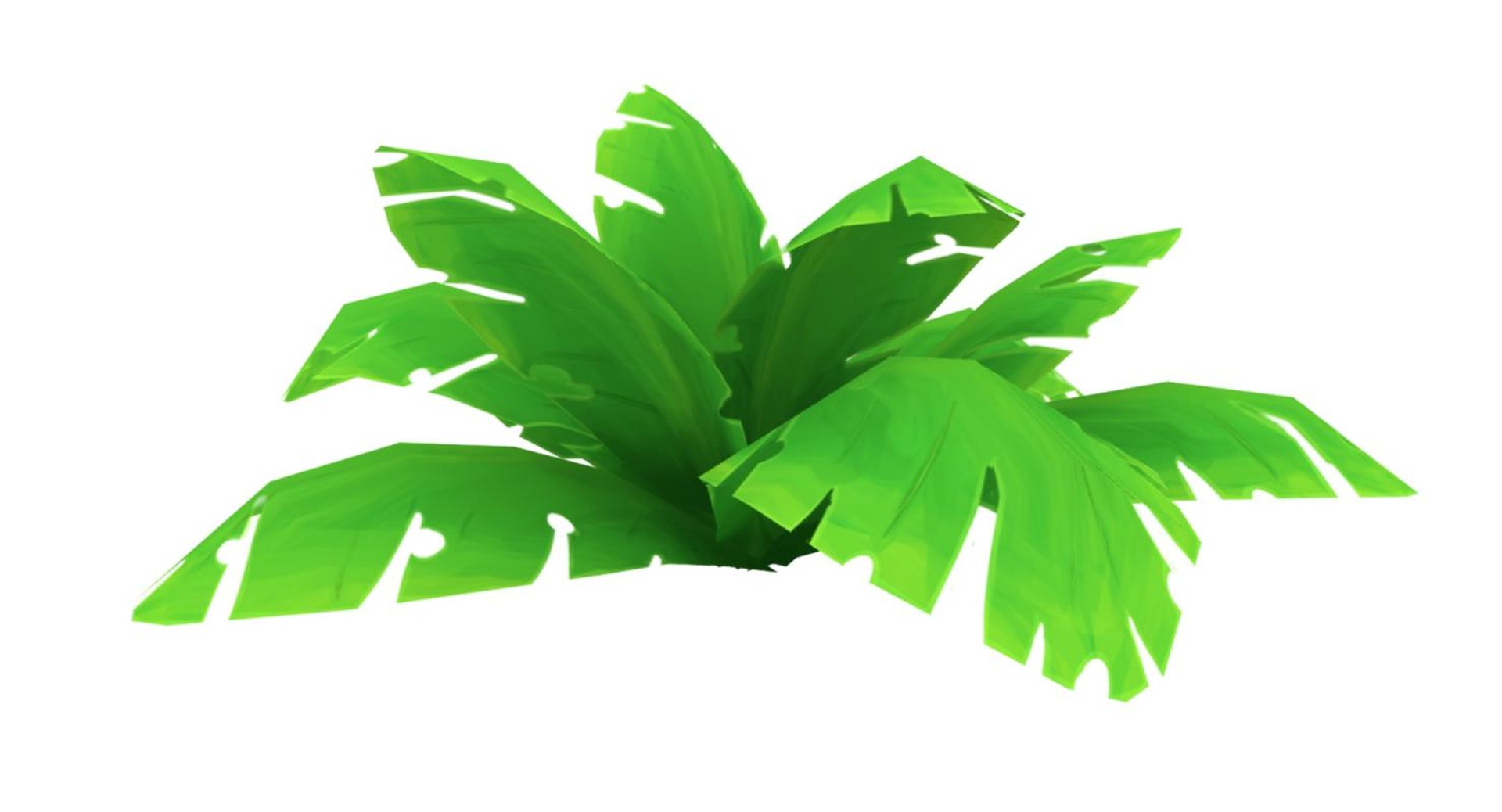 cartoon fern 3d model